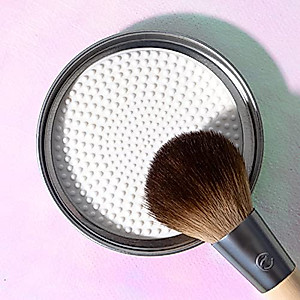 EcoTools Professional Makeup Brush Cleaner and Beauty Blender Dissolving Sheets with Textured Mat, Plastic-Free Recyclable Packaging, Cruelty Free, Vegan, Travel Size, Add Water, 30 Sheet Count