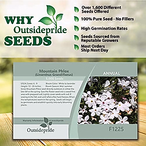 Outsidepride Mountain Phlox Wild Flowers for Full Sun or Partial Shade - 5000 Seeds