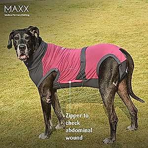 MAXX Recovery Suit for Dogs, E Collar Alternative, Post-Operative Onesie by Vet (Ruby Red Grey, M+)
