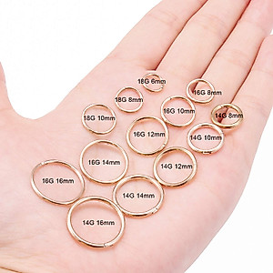 Hoeudjo Surgical Steel Hinged Clicker Segment Nose Rings Septum Clicker 16g 8mm Body Jewelry Lip Ear Piercing Earrings for Cartilage Helix Tragus Conch Daith Rook Lobe Snake Bite Women Men Rose Gold