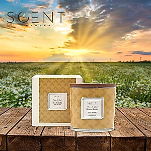 SCENT CANDLES | Highly Scented Candles - Aromatherapy Candles for Home | Mom & Dad Spring Sunset Candle | 12oz Glass Jar | 100% Natural Soy Wax Candles | Burn Time 60-70 Hours