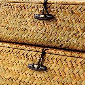 TWIGANDLAKE 2PCS Wicker Woven Storage Bins with Natural Seagrass Rattan Woven Organizer Boxes, Small and Large Wicker Basket Set with Lid for Shelf, Book