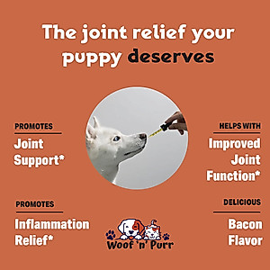 Dog Glucosamine - Supports Hip & Joint Health, & Much More - Glucosamine for Dogs Hip and Joint Supplement - Glucosamine for Dogs - Dog Joint Supplement - Glucosamine Chondroitin for Dogs - 1 fl oz