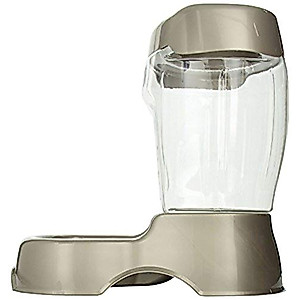 Petmate Pet Cafe Feeder Dog and Cat Feeder Pearlescent Colors 3 Sizes