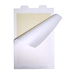 Blue-Touch Mouse Glue Traps, Peanut Butter Scented Best glue traps glue boards for mice, insects and crawling pests. 8.5x5.5 inches, 1.1 OZ – 100 Traps/Box