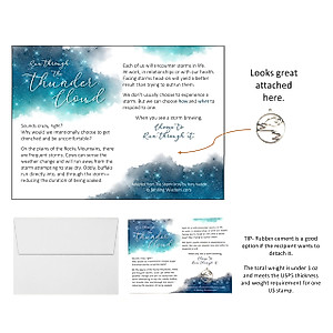 Smiling Wisdom - Bulk 40 Gift Sets - 4 Different Sets of 10 - Quarterly Gifts - Encouraging Praising Employee Volunteer Student Appreciation Cards Envelopes - 120 Pcs - Storm Puppy Warrior Light