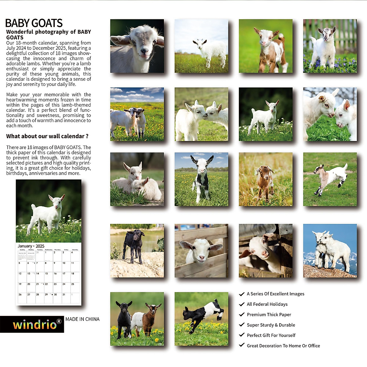 2024 2025 Wall Calendar,14 Monthly Wall Calendar Beautiful World Nov. 2024 - Dec. 2025, 12" x 18.2" Opened,Full Page Months Thick Paper for Gift Calendar Organizing & Planning