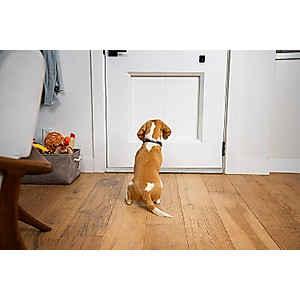 BKSAI Door Draft Stopper for Distance Under The Door up to 2" Draft Blocker Under Bottom of Door Seal Strip Draught Excluder Wind Blocker No Adhesive Bottom Seal Sound Blocker