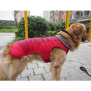 Apetian Dog Cold Weather Coats Winter Dog Vest Warm Dog Jacket Belle (M, A3-Red)
