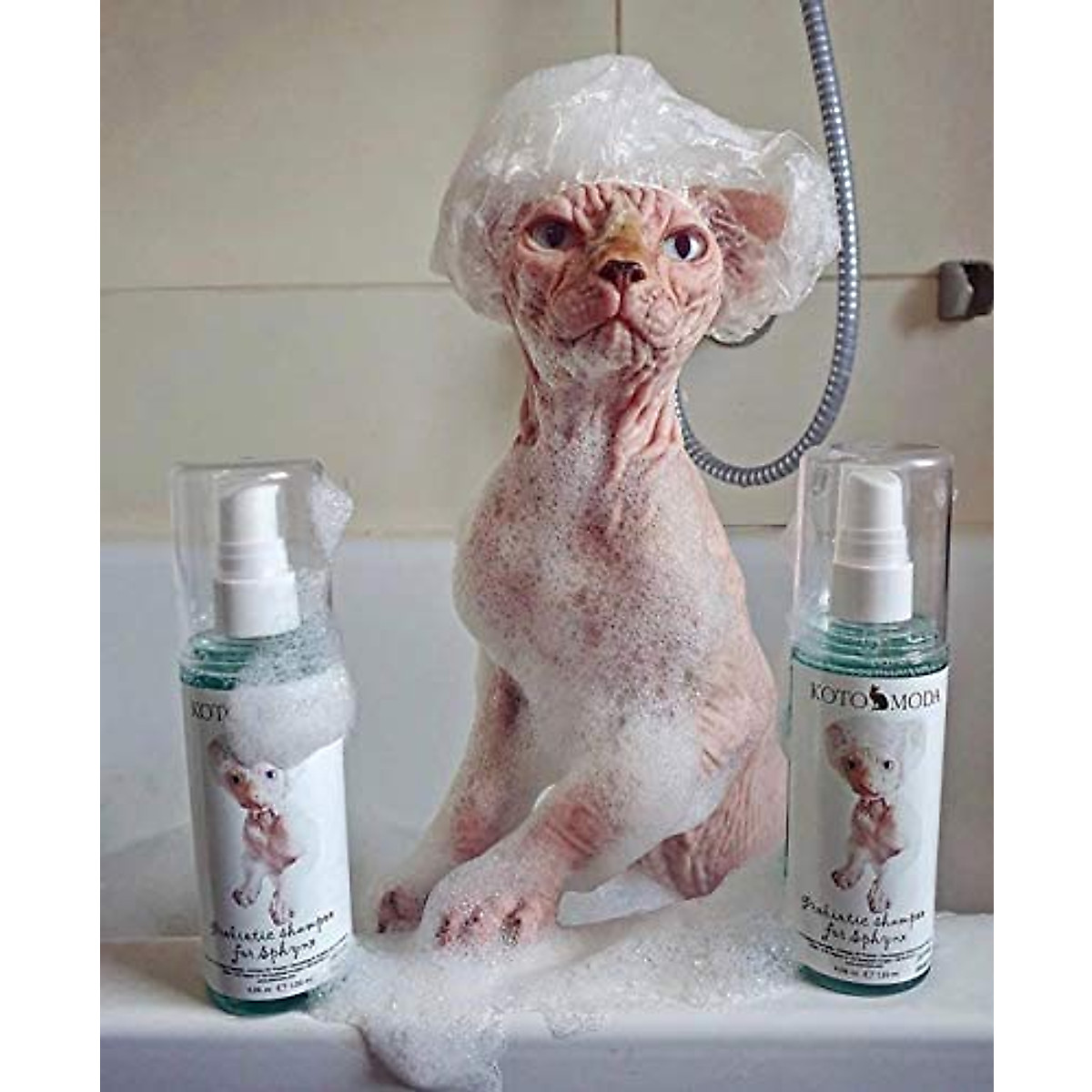 Kotomoda Probiotic Shampoo for Sphynx Cats (4.22)