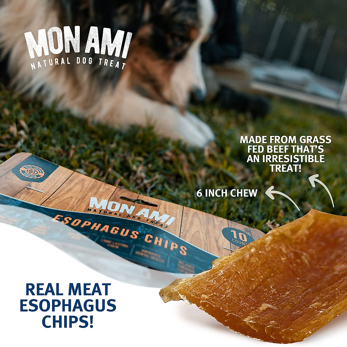 Mon Ami Beef Esophagus Dog Treats (12 inch, 20 Count) –Gullet Treats for Dogs Made from Grass Fed Beef with Glucosamine & Chondroitin – Natural Dog Treats, Grain Free & High Protein Dog Chews