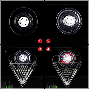 WEAVERBIRD Cone Red Worm Feeder Acrylic V-Shape Shrimp Fish Tank Feeding Cup with Suction Cup