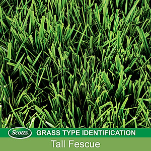 Scotts Turf Builder Grass Seed Tall Fescue Mix Grows Deep Roots for a Durable, Livable Lawn Resistant to Heat, Drought, 3lb.