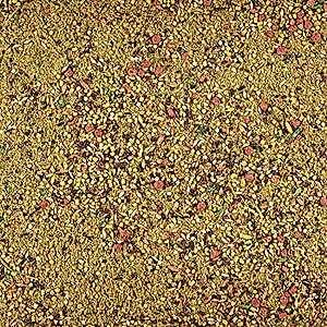 Kaytee Molting and Conditioning Jar -- All Pet Birds 11 oz