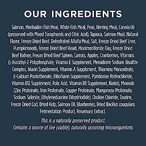 Instinct Raw Boost Grain Free Recipe with Real Salmon Natural Dry Cat Food by Nature's Variety, 4.5 lb. Bag