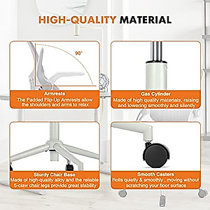 Ergonomic Home Office Desk Chair Mesh Computer Chair Adjustable Height Chair Task Chair Swivel Chair Rolling Chair with Lumbar Support/Flip-up Arms for Office, Study, Bedroom