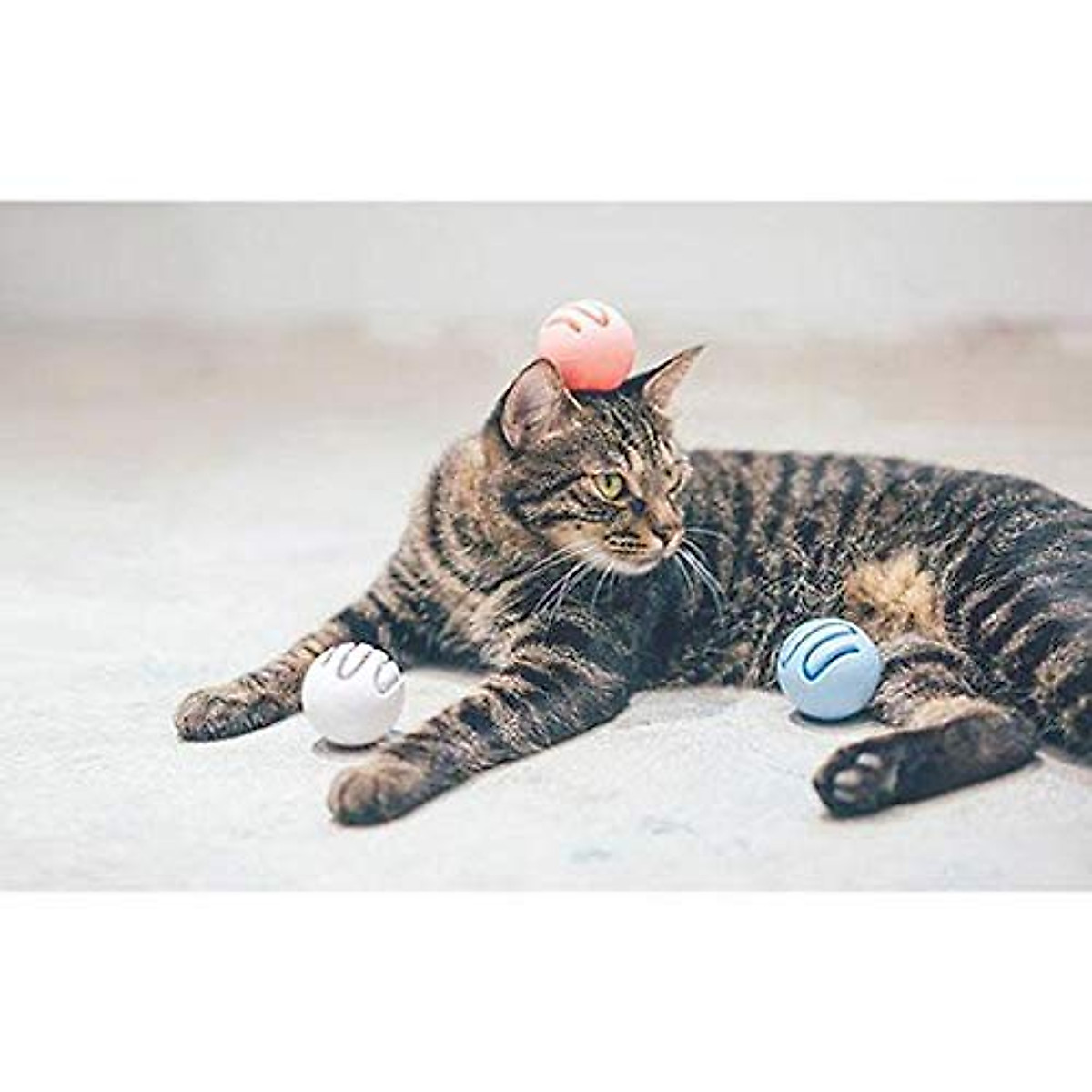 Pet Supplements cat Nutrient - CAT Turmeric for Joint Health - Advanced Joint Support - cat Immune System Support - 2 Bottles (120 Tablets)