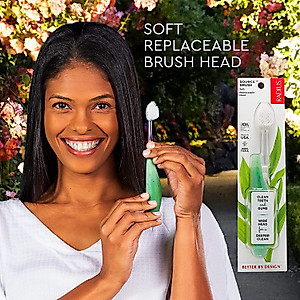 RADIUS Toothbrush Source Floss Brush BPA Free & ADA Accepted Improve Gum Health & Reduce Gum Issues - Medium - Money - Pack of 1