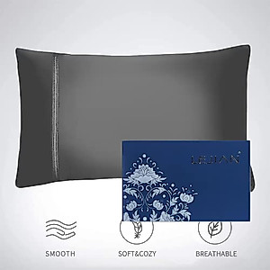 LEJIAN Silk Bedding Pillowcases - 2 Pack Standard Size(20X26 Inch) - Hemstitched Pillow Cases - Soft Silk Pillowcase with Envelope Closure, Grey