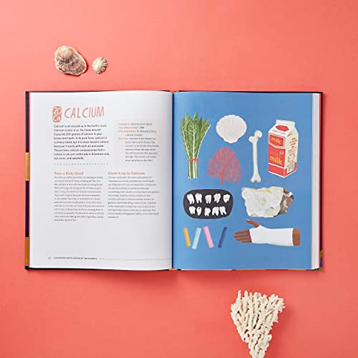 The Illustrated Encyclopedia of the Elements: The Powers, Uses, and Histories of Every Atom in the Universe