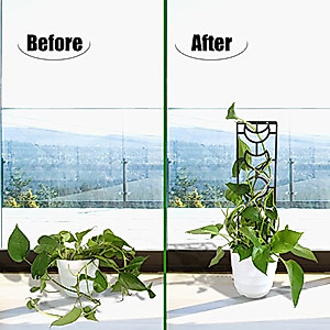 2 Pack Metal Plant Trellis for Climbing Plants, 19 Inch Garden Plant Pot Trellis for Indoor Houseplants, Moon Phase Trellis for Potted Plants Vines, Pothos, Monstera (Black)