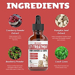 Dog UTI Treatment | Cat UTI Medicine | Cat UTI Remedy | Cranberry Supplement for Dogs | Pumpkin for Cats | Dog UTI | Cat UTI | Cranberry for Dogs | Cat Urinary Tract Infection Treatment | 1 fl oz