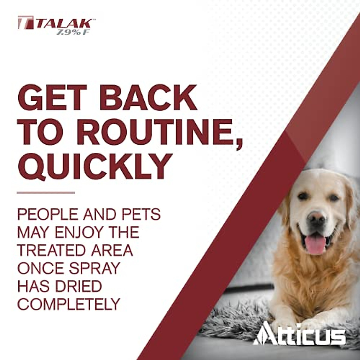 Talak 7.9 F Bifenthrin Insecticide Concentrate (1 Gallon) by Atticus (Compare to Talstar) –– Indoor and Outdoor Insect Control