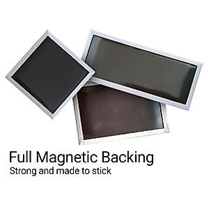 Salton Sea California Souvenir 2x3-Inch Fridge Magnet Explore The Outdoors