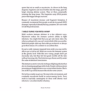 Break the Mold: 5 Tools to Conquer Mold and Take Back Your Health