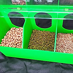 Pigeon Feeder Quail Feeder Water 2 Pack Bird Chicken Duck Feeder with 3 Hole Pet Bowls & Feeders Eat Food (Three Hole)