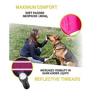 ADITYNA Heavy Duty Dog Collar with Handle - Reflective Pink Dog Collar for Large Girl Dogs - Wide, Thick, Tactical, Soft Padded - Perfect Dog Collar for Training, Walking, or Hunting