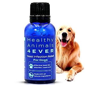 HealthyAnimals4Ever All-Natural Yeast Protection for Dogs - Effective Homeopathic Support for Yeast Infections - Preventive Care for Skin and Ear Health - 300 Dog Yeast Defense Tablets