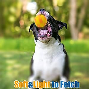 Wieppo Soft Squeaky Dog Ball 2.56”, Latex Squeaky Dog Toys for Medium Dogs and Small Dogs to Fetch, Chase 3pcs