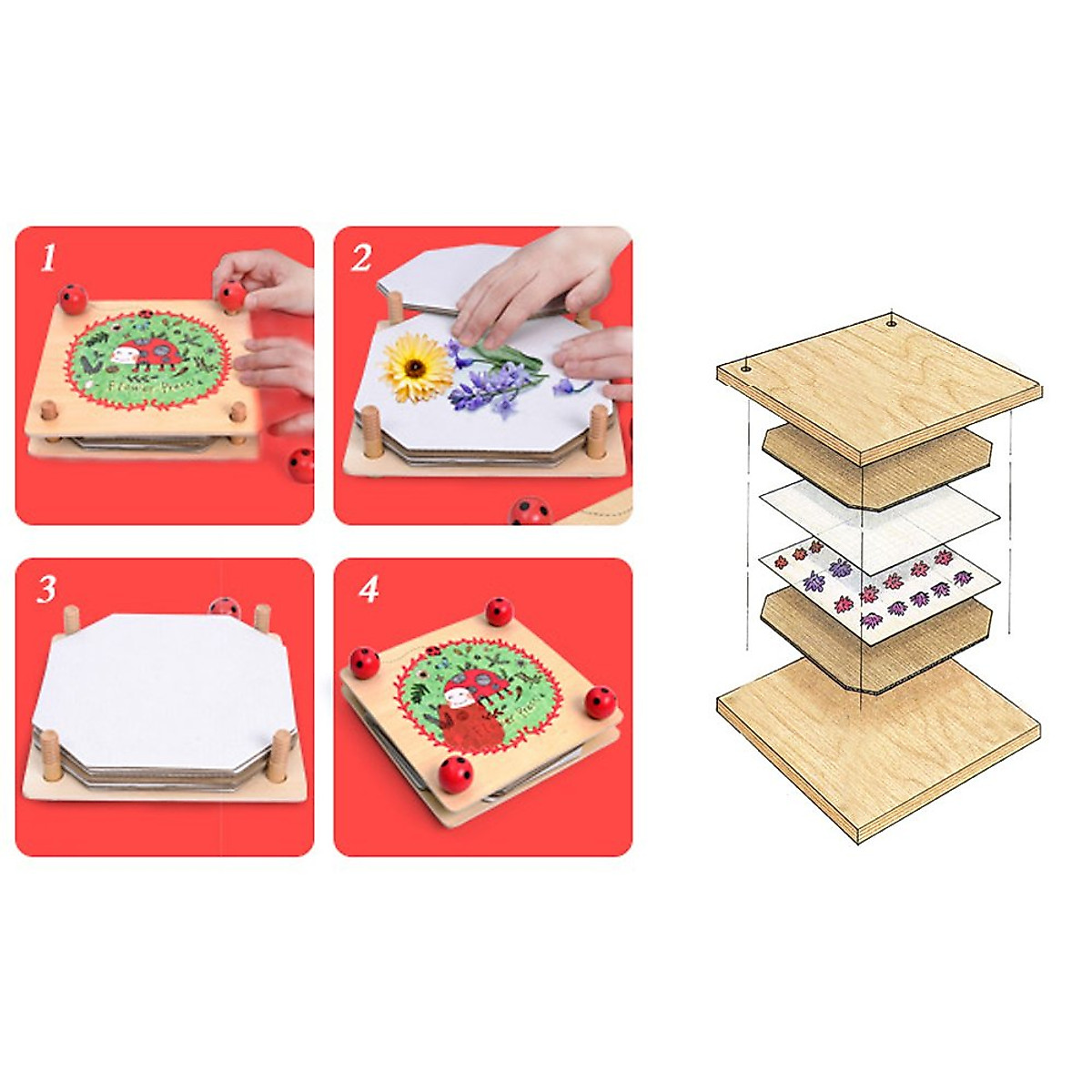 Happytime Kids' Flower & Leaf Press Nature Crafts Wooden Art Kit Outdoor Play Learning Toy Creativity Pressed Flower Art Kit DIY Recycle Floral Press Gift for Kids & Teens, Girls & Boys