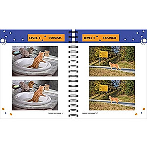 Brain Games - Picture Puzzles: Cats