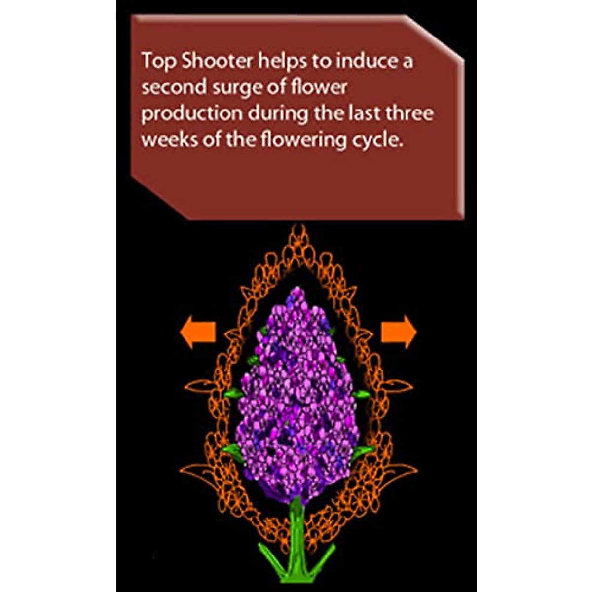 House & Garden Shooting Powder Sachet (5 sachets per Box)