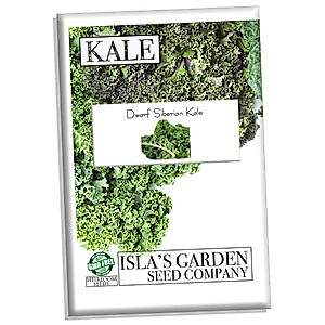 Dwarf Siberian Kale Seeds for Planting, 500+ Heirloom Seeds Per Packet, (Isla's Garden Seeds), Non GMO Seeds, Botanical Name: Brassica oleracea, Great Home Garden Gift