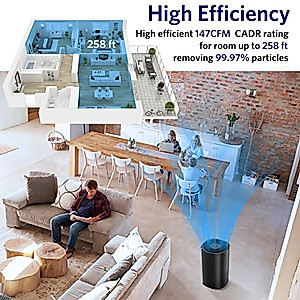 Air Purifier Filter - Air Choice 3-in-1 True HEPA Air Purifier Filter for AP-250A Air Purifier