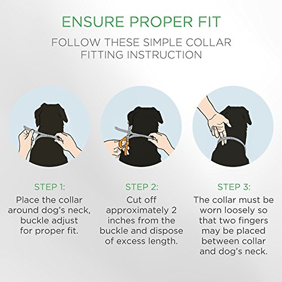 8-Month Protection Dog Flea Collars & Tick Collar - No Irritation, Baldness, or Side Effects - Suitable for Small, Medium, Large Dogs - 25 lnch - Natural flea and tick Collar for Dogs - 1 Pack