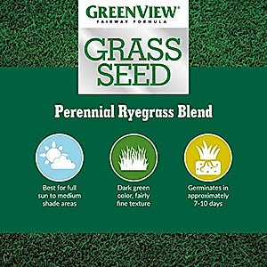 Greenview Fairway Formula Grass Seed Perennial Ryegrass Blend - 3 lb. Bag