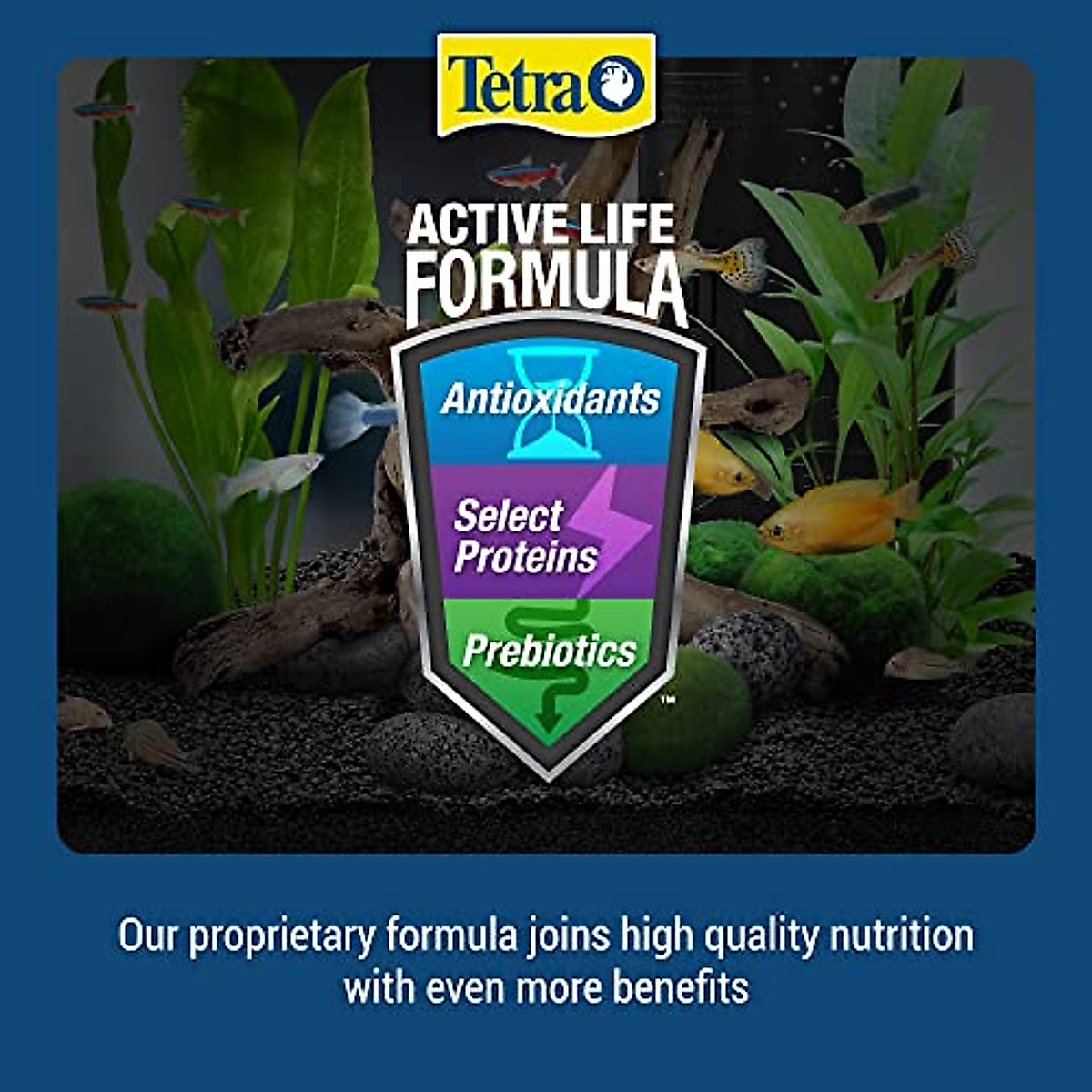 Tetra 77181 TetraFin Goldfish Crisps, 7.76-Ounce , 1-Liter