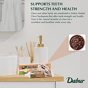Dabur Natural Toothpaste - Refreshing Herbal Care for Oral Health - Promotes Clean, Healthy Teeth and Gums - Elevate Your Oral Hygiene Routine with Smile - Paraben Free - Enriched with Clove - 100 ML
