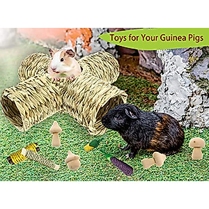 Vehomy Guinea Pig Grass Tunnel Toy Hamster Natural Hideaway Tunnel Tubes and 9Pcs Small Pet Chewing Toys Small Animal Grass House with 5 Entrances for Guinea Pig Syrian Hamster Chinchillas Gerbils