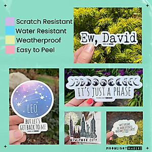 Funny Die Cut Bumper Stickers, Car Art, Bike Vinyl, Weatherproof (My Life Coaches)