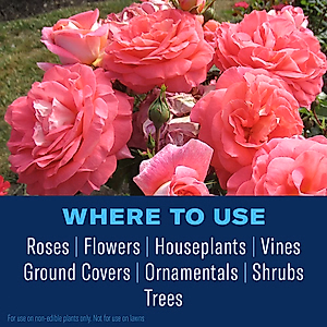 BioAdvanced 3-In-1 Insect, Disease and Mite Control, Ready-to-Use, 24 oz