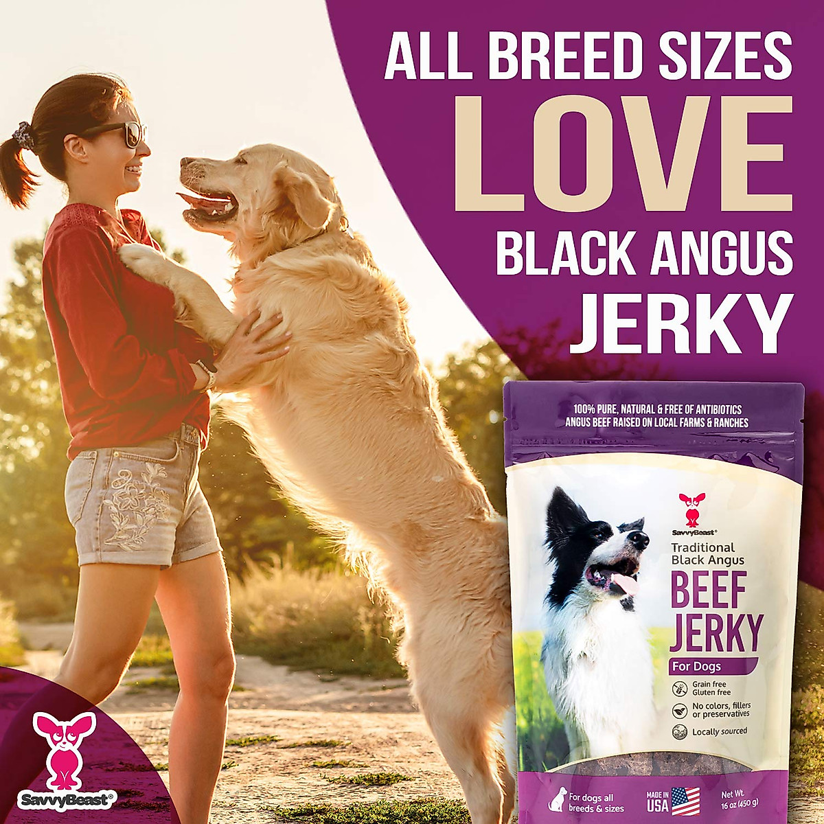 Beef Jerky Dog Treats for Dogs - 16 oz Grass-Fed Natural Real Meat Jerky Made in the USA Only - Thin Healthy Grain Free Chew Sticks - High in Protein Tender Strips - Perfect for Training & Rewarding