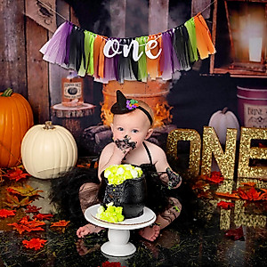 Halloween High Chair Banner - Spooky Birthday Decoration,Baby Tutu Skirt Banner 1st Birthday Photo Backdrop Pumpkin Birthday Banner Smash Cake Garland