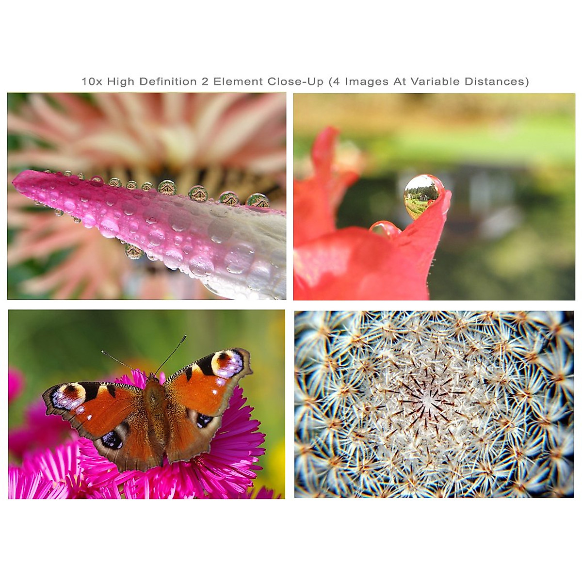 Canon EF-S 18-200mm f/3.5-5.6 is USM 10x High Definition 2 Element Close-Up (...