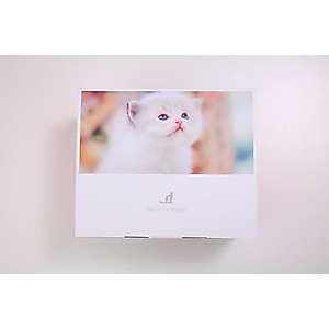 FEELNEEDY Cat Water Fountain Battery Operated, 4L/135 fl oz Pet Water Fountain for Cats and Dog with Motion Sensor, Wireless Ultra Quiet Cat Drinking Fountain with 2 Filters (Black YPD-C004P)