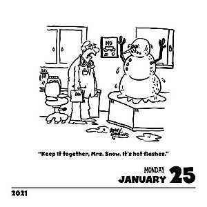 Medical Cartoon-A-Day 2021 Calendar: A Daily Dose of Humor